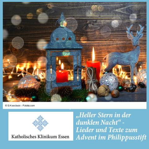 Heller Stern in der dunklen Nacht | KGNW e.V.